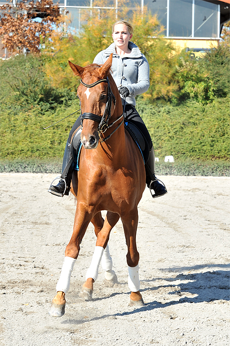 Wir sind wieder voll im Training!